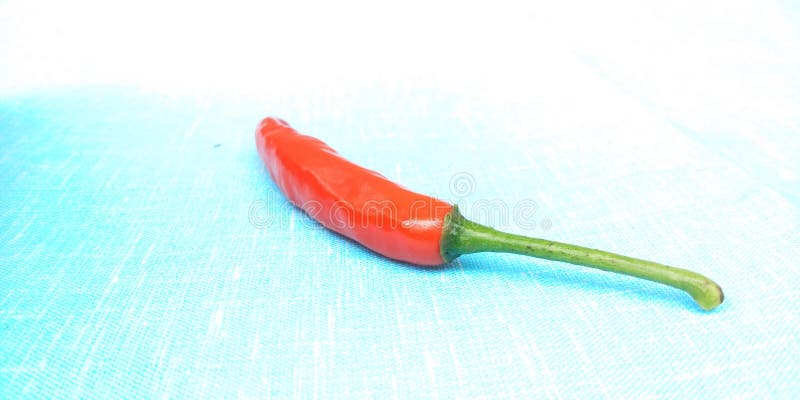 Red chilli stock image. Image of spicy, indian, single - 100204013