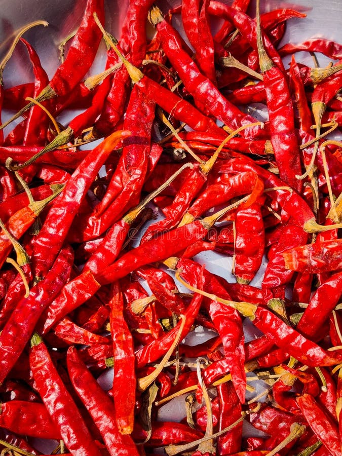 Red chilli stock image. Image of vegetable, super, chilli - 244187401