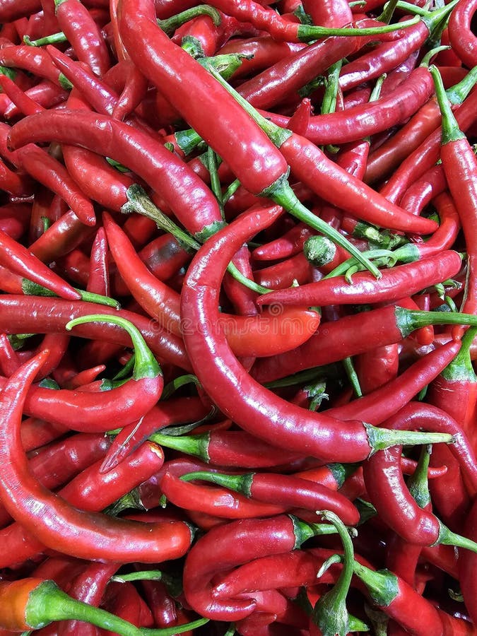 Red Chilli in Traditional Market Stock Photo - Image of produce ...