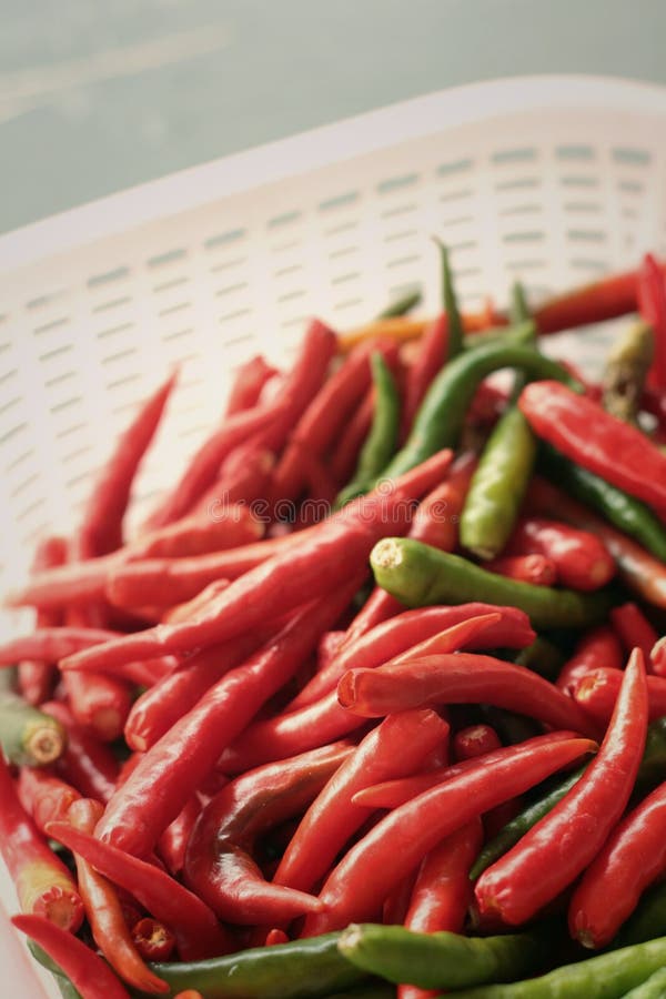 Red Chilli on a Tray at the Market Stock Image - Image of color, spicy ...