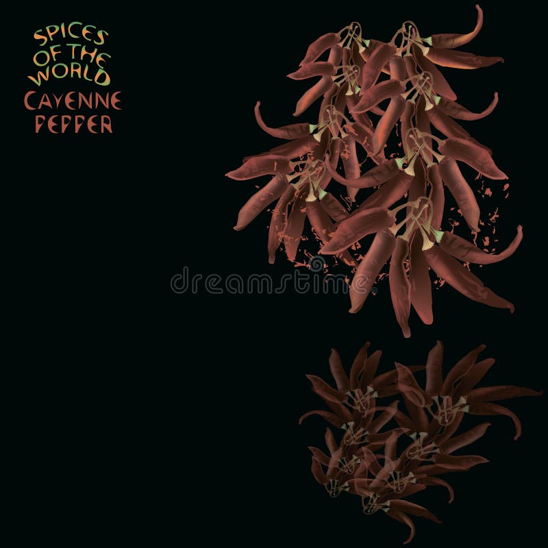 Powder Chilli Stock Illustrations – 312 Powder Chilli Stock ...