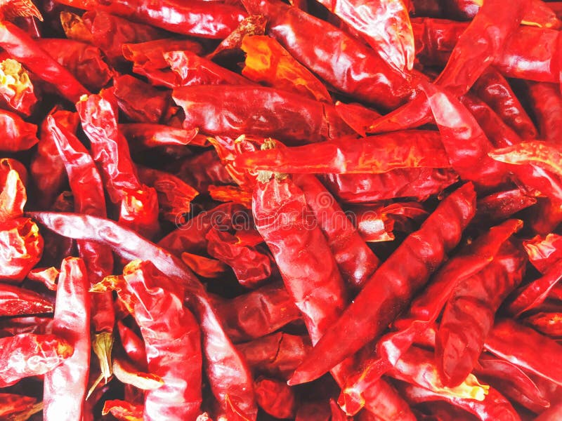 Red Chilli, Very Bright Color Stock Photo - Image of paprika, fresh ...