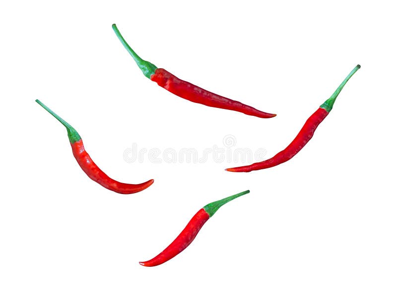 Red Chilli on White Background Stock Image - Image of mexican, burning ...