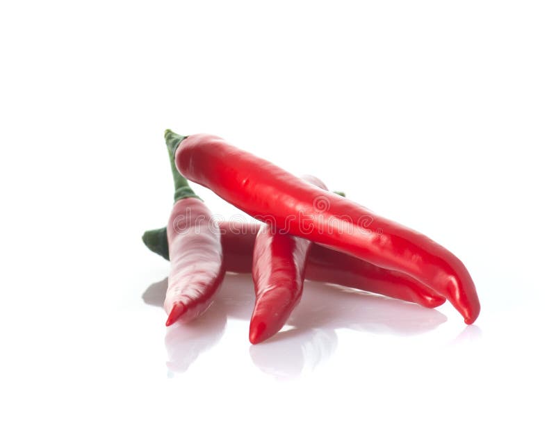 Red Chilli on White Background Stock Photo - Image of freshness ...