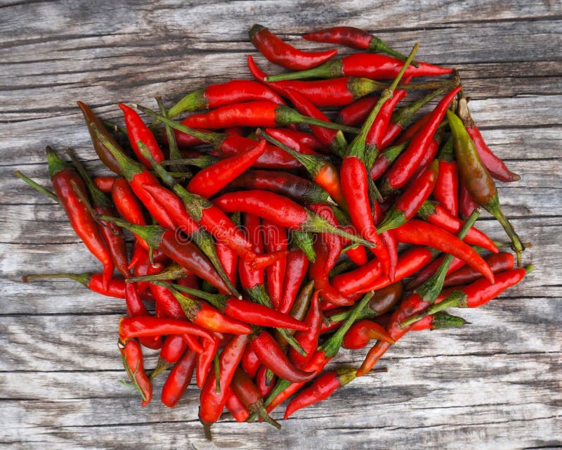 Red chilli stock photo. Image of recipe, fiery, spice - 72687578
