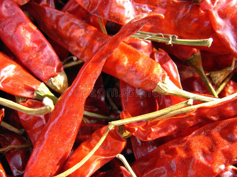 Red Chillies stock image. Image of ingredient, spicy - 14217281