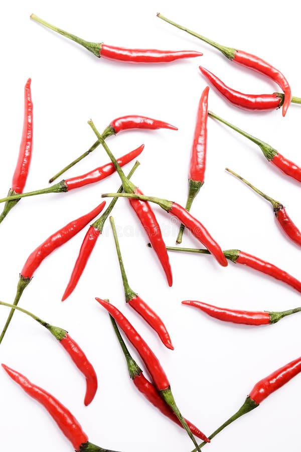 Red chillies stock photo. Image of organic, pepper, chilli - 21391232