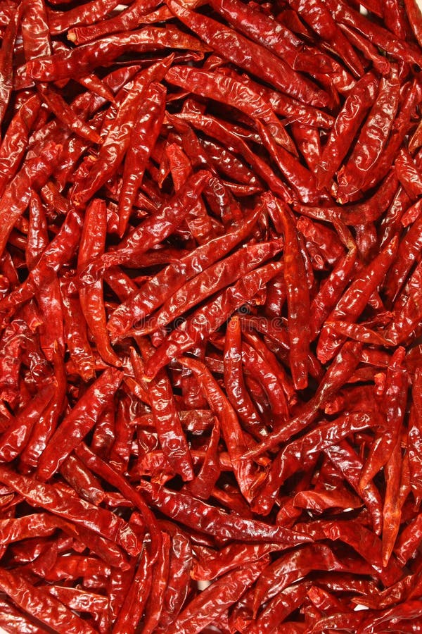 Red Chillies stock photo. Image of ingredient, cookery - 675104