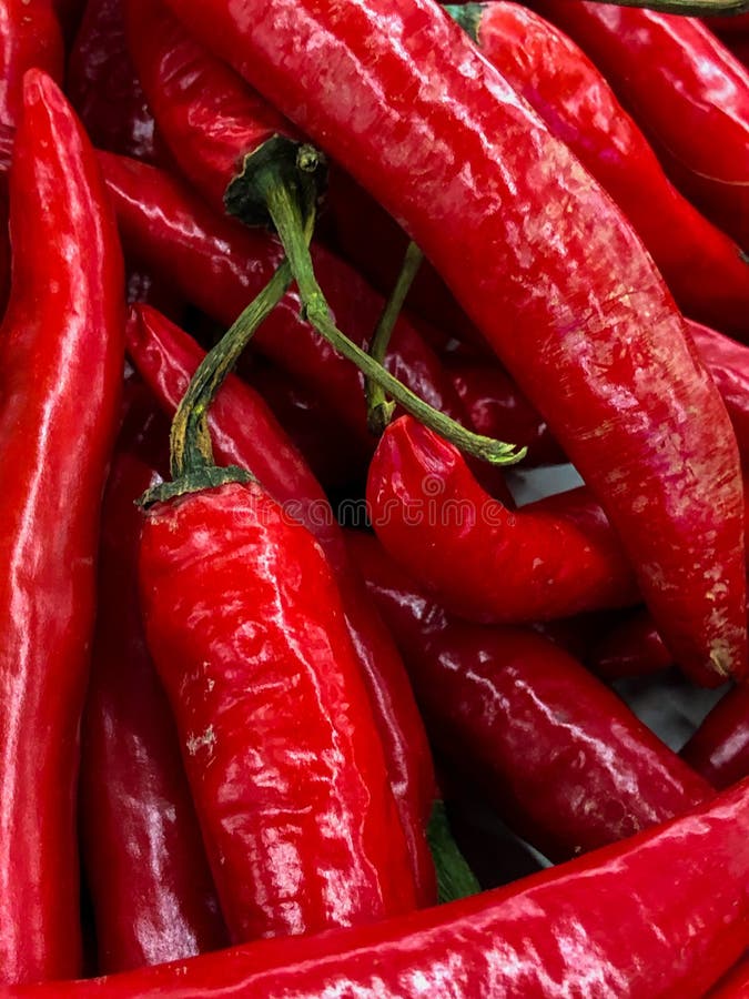 Red chillies stock image. Image of vegetables, bunch - 211909127