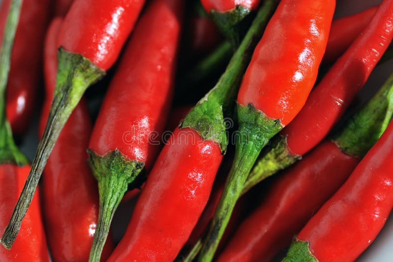 Bunch of Small Spicy Red Chillies Stock Image - Image of ingredient ...