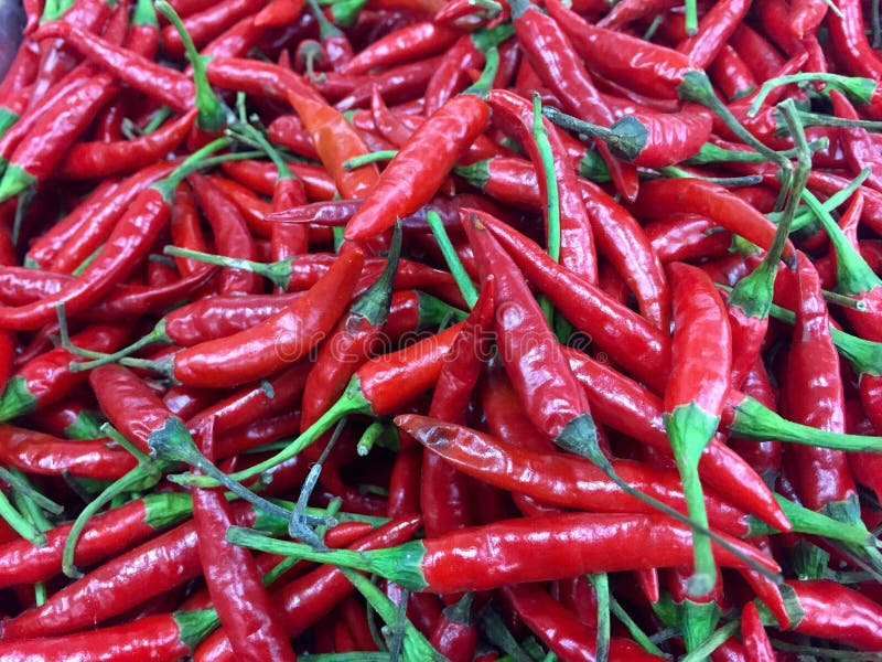 Red chillies stock photo. Image of spicy, chillies, fresh - 61971586