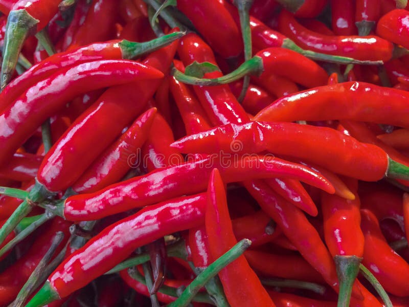 Red chillies stock photo. Image of chilli, closeup, vegetable - 110388174