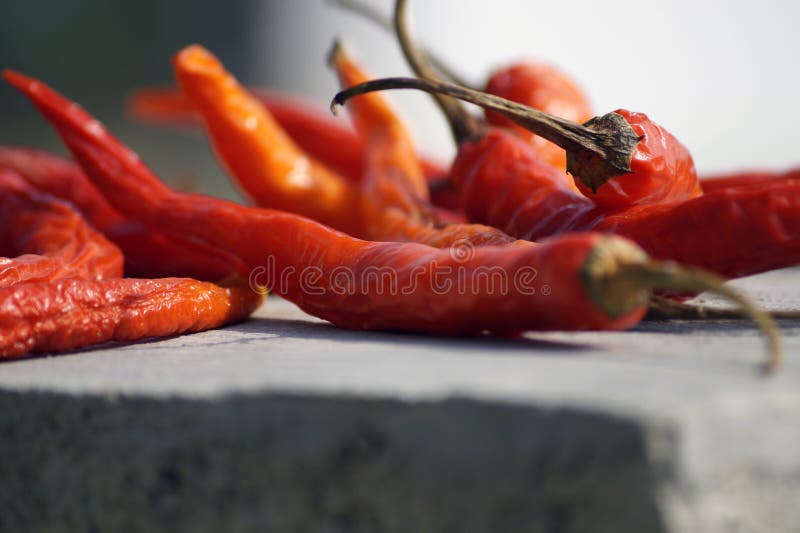 Red chilly stock image. Image of taste, nipple, colour - 60971233