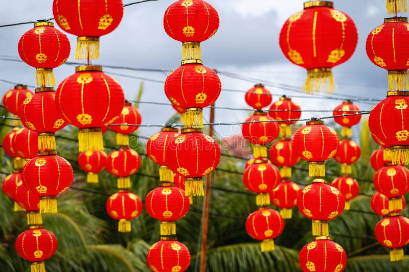 Red Lanterns Hanging from a Tree at Night during a Chinese New Year ...