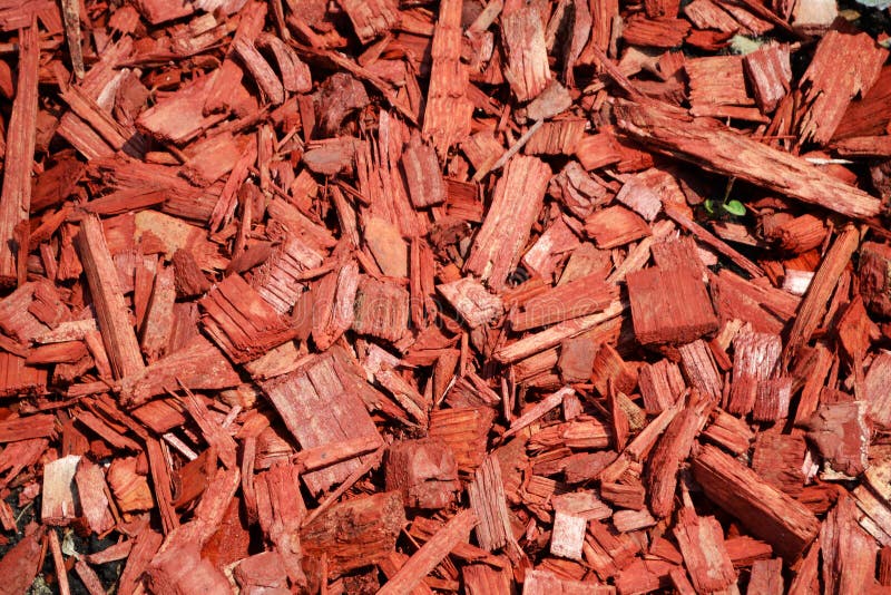 Red Chips, Background Image, Wood Chips on a Flower Bed, Chips ...