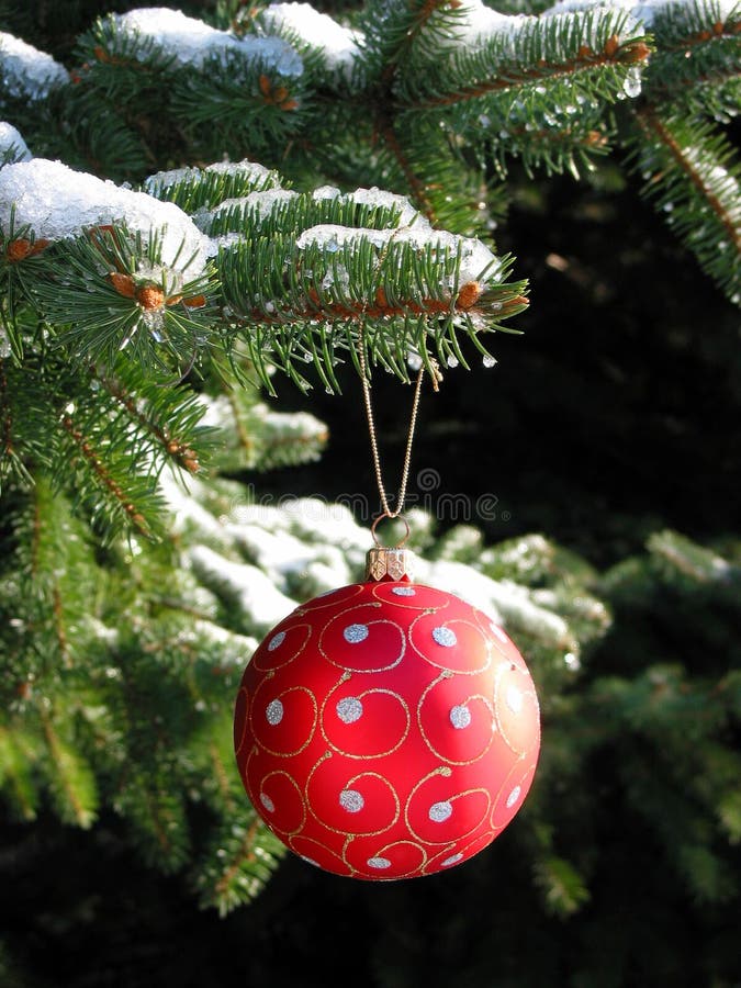 Red Christmas Ball on Fir Tree Stock Image - Image of bright, ball: 365889