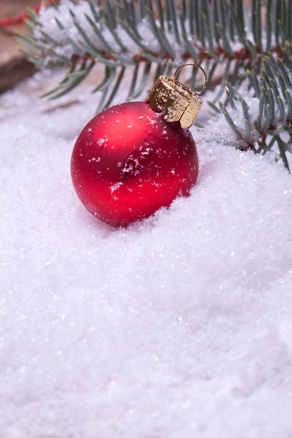 Red Christmas Ball Under a Pine Tree Stock Photo - Image of tradition ...