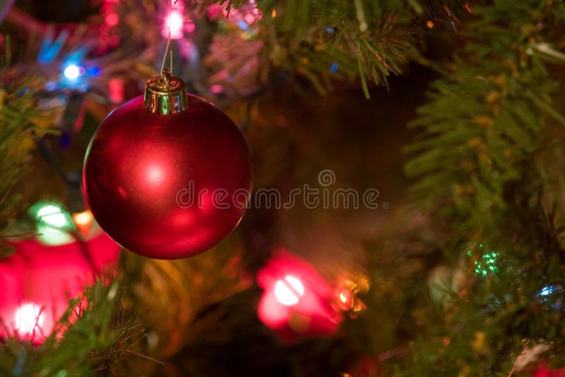 Red Christmas Bulb with Colored Lights on Tree Stock Image - Image of ...