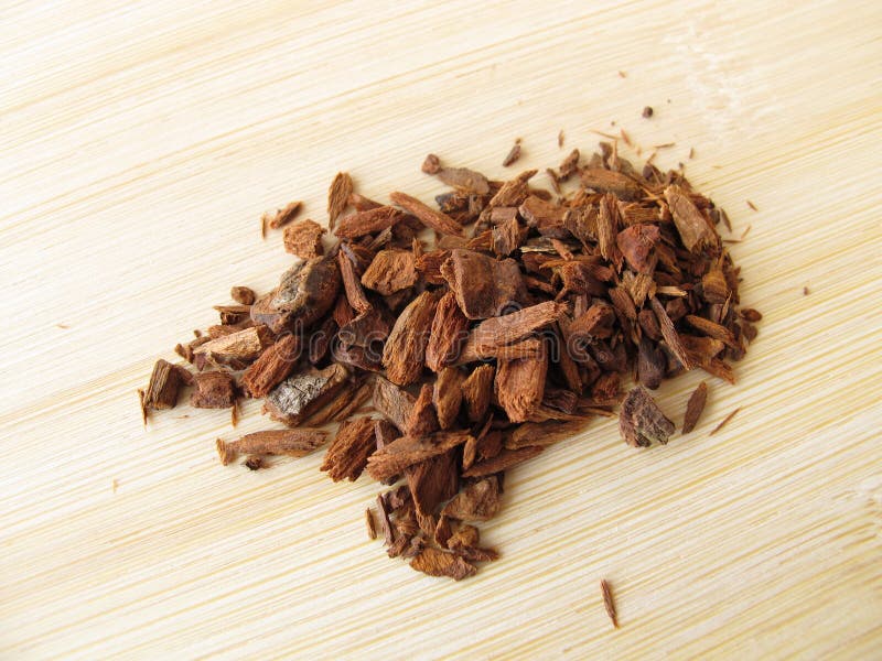 Red Cinchona Bark, Cinchonae Cortex Stock Photo - Image of drugs ...
