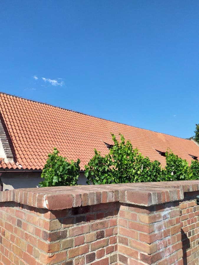 Red Roofs of Houses in Prague Top View Stock Photo - Image of natural ...