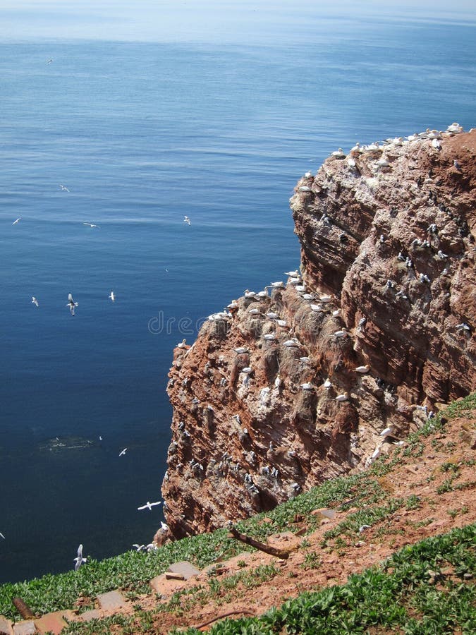 Red cliff of Helgoland stock photo. Image of seascape - 24594388