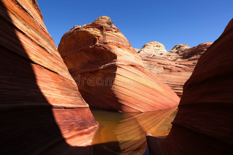 Red Cliffs in the Coyote Butte Utah Stock Image - Image of tourism ...