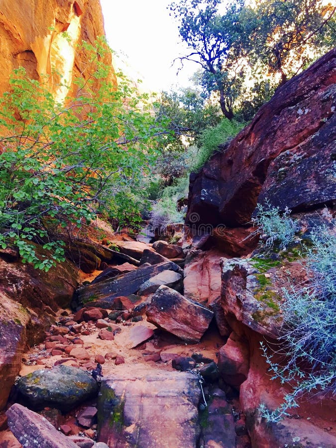 Red Cliffs - Hurricane Utah Stock Photo - Image of mountain, plant ...