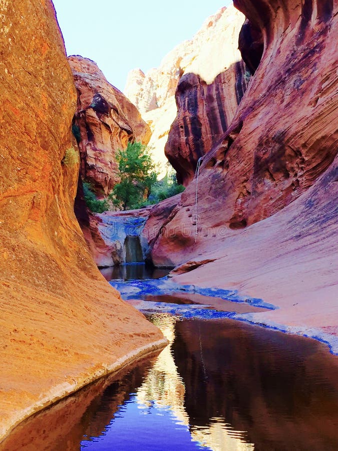 Red Cliffs - Hurricane Utah Stock Image - Image of rope, canyon: 79389513