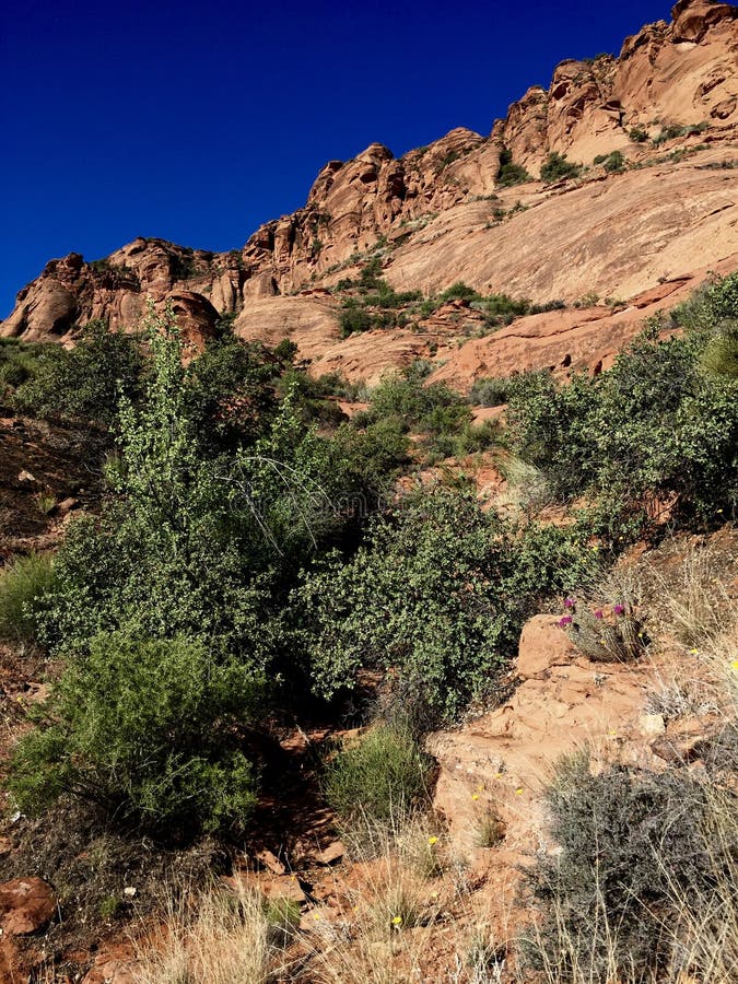 Red Cliffs - Hurricane Utah Stock Image - Image of cliff, outcrop: 79392191