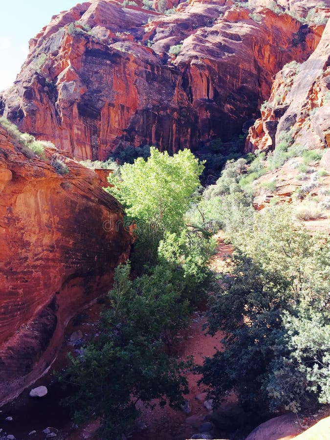 Red Cliffs - Hurricane Utah Stock Photo - Image of escarpment, cliff ...