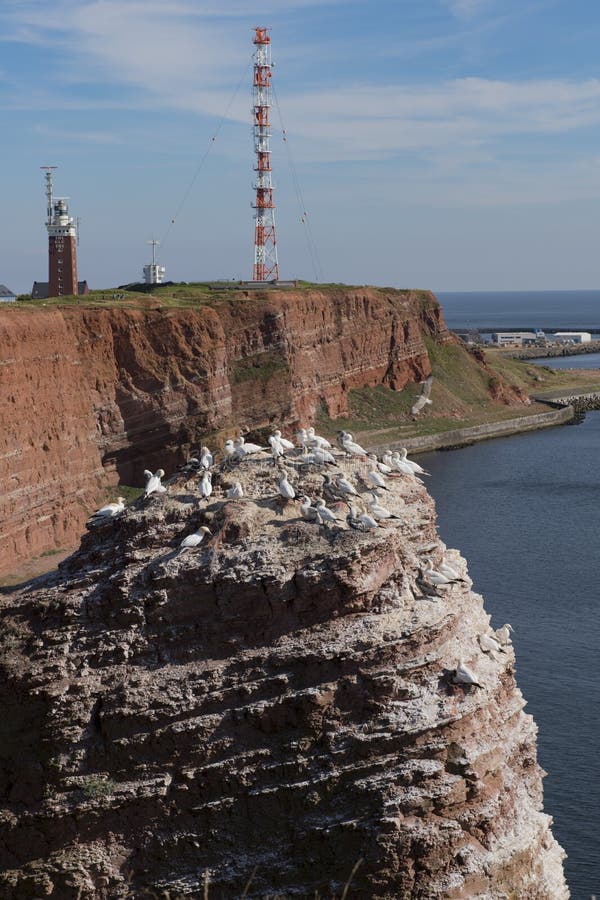 The Red Cliffs on Island Helgoland Germany Stock Image - Image of ...