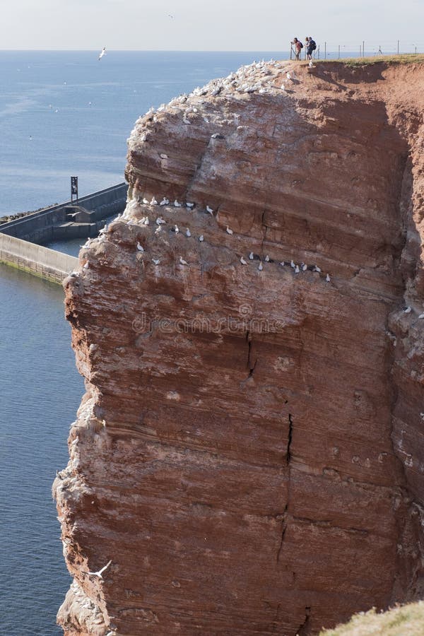 The Red Cliffs on Island Helgoland Germany Editorial Stock Image ...