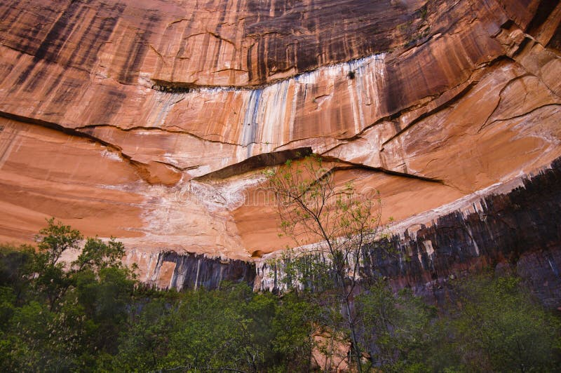 Red cliffs of Zion stock image. Image of states, sedimentary - 7184227