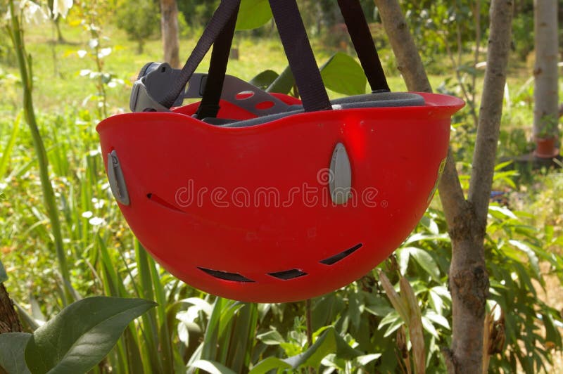 Red Climbing Helmet Hanging on a Tree Branch Stock Image - Image of ...