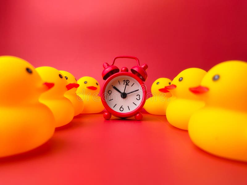 A Red Clock Surrounded by Yellow Toy Ducks Stock Photo - Image of table ...