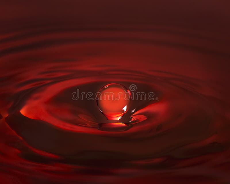 Red, Close Up, Still Life Photography, Drop Stock Photo - Image of ...