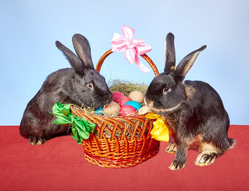 On a Red Cloth the Basket with Easter Eggs and Two Rabbits Stock Image ...