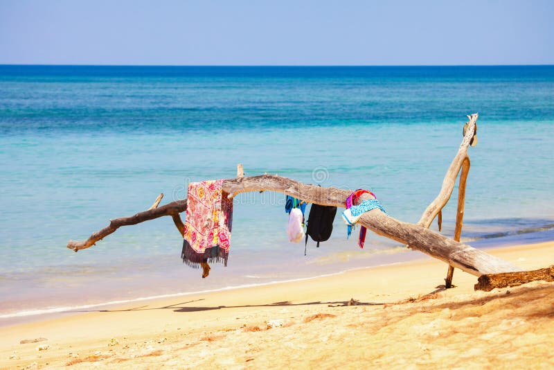 Red cloth old tree trunk stock photo. Image of coast - 36920498