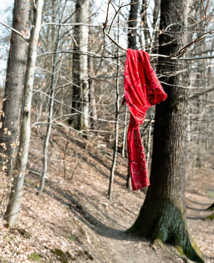 Red cloth on a tree stock image. Image of little, country - 166173413