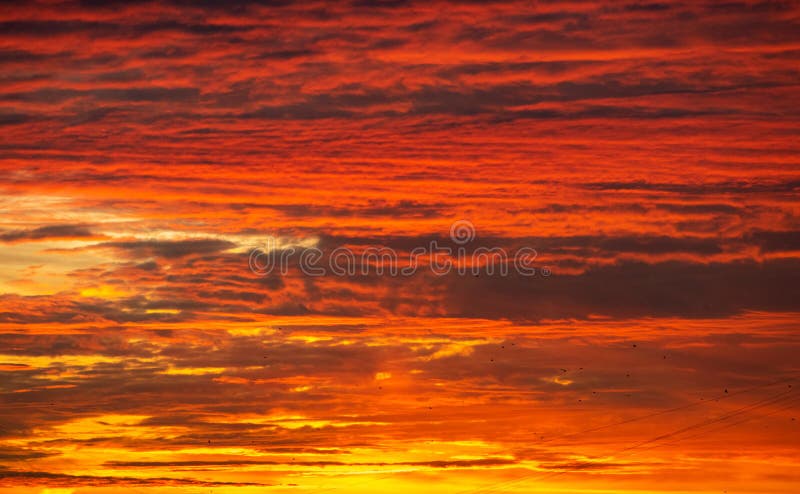 Clouds in the sky stock photo. Image of sunrise, dawn - 270156770