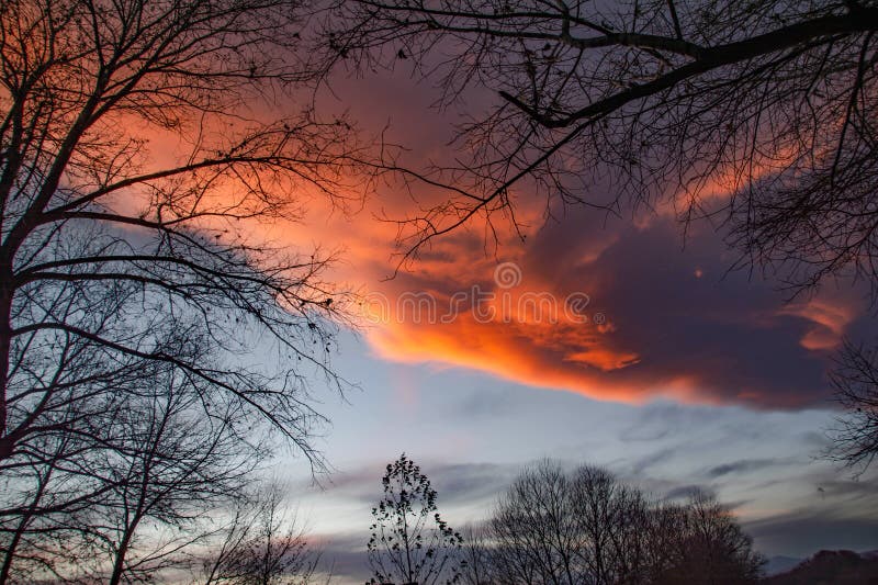 Red Clouds in the Sky. Trees and Cloudy Sky Stock Image - Image of ...