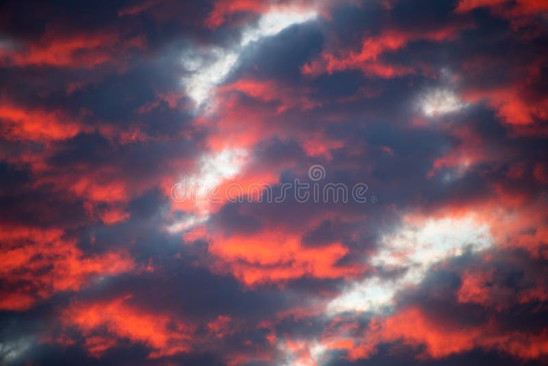 Red Clouds at Sunset stock photo. Image of mediumclose - 264782142