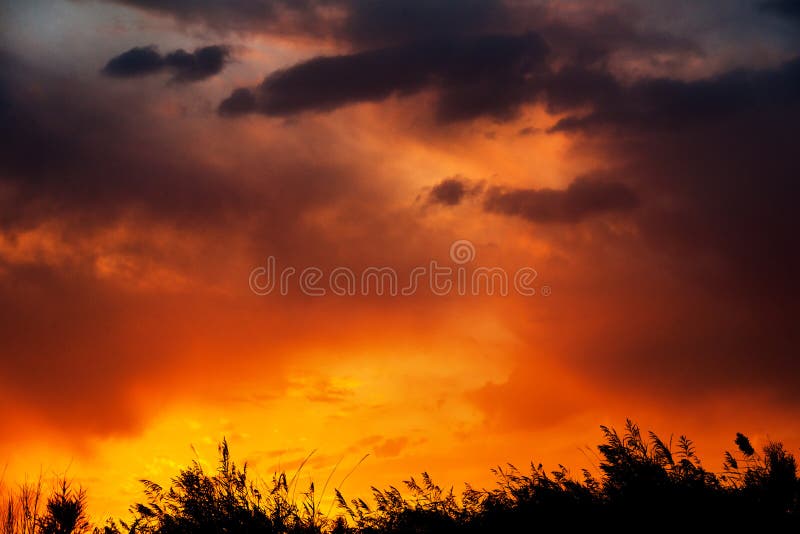 Sunrise stock photo. Image of australia, industry, landscape - 6646684