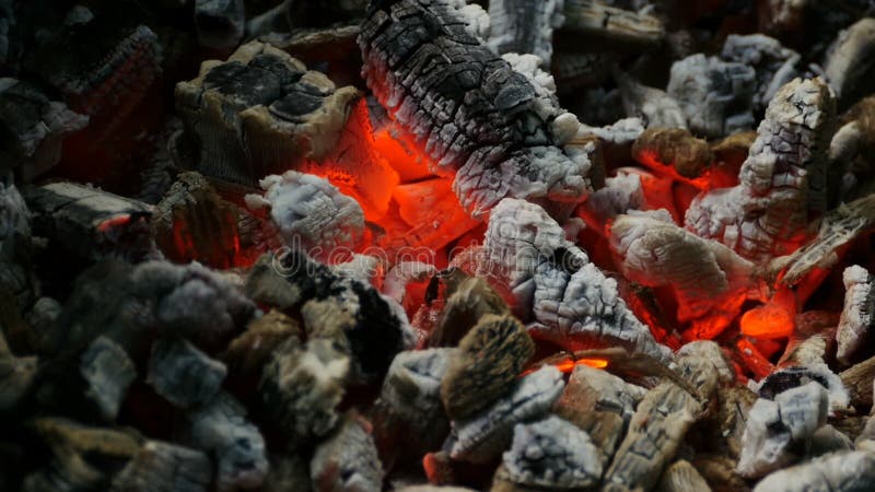 Ashes and Coals in the Fire while Cooking Food Stock Footage - Video of ...