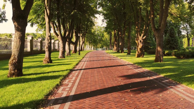 Red Cobblestone Pathway in the Park and Trees. Stock Video - Video of ...