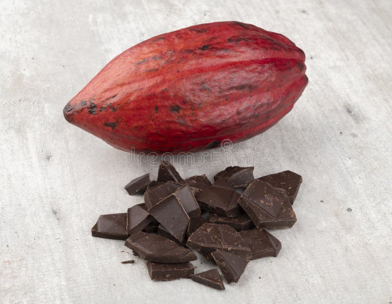 Red Cocoa and Some Dark Chocolate Pieces Stock Photo - Image of cocoa ...
