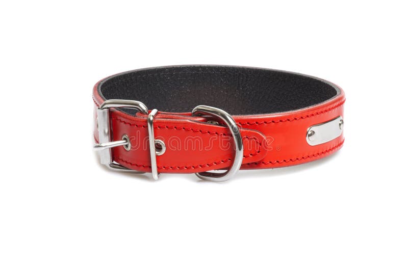 Red dog collar stock image. Image of white, collar, copy - 36474903