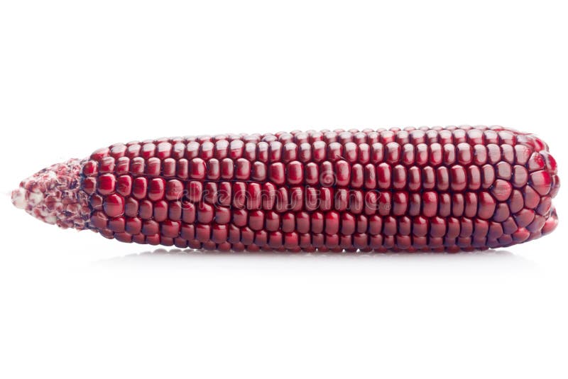 Red Color Corn Isolated on White Background Stock Image - Image of ...