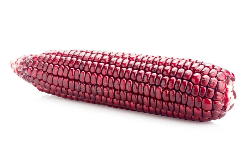 Red Color Corn Isolated on White Background Stock Image - Image of ...