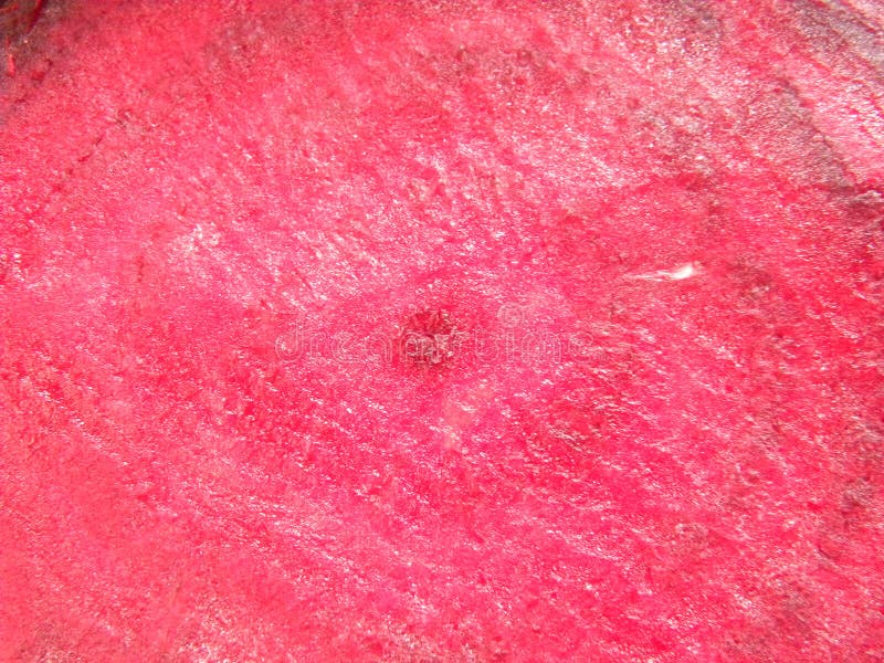 Red Cross Section of Beetroot Stock Image - Image of color, ingredient ...